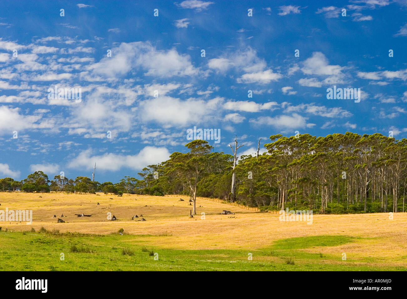 Great southern western australia hi-res stock photography and images - Alamy