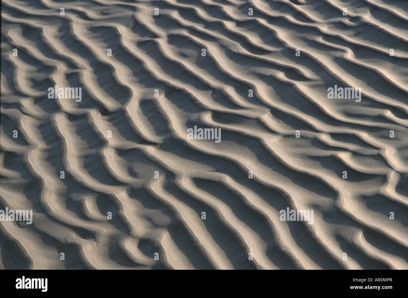 Pattern in nature designs in silt summer Alaska Stock Photo - Alamy