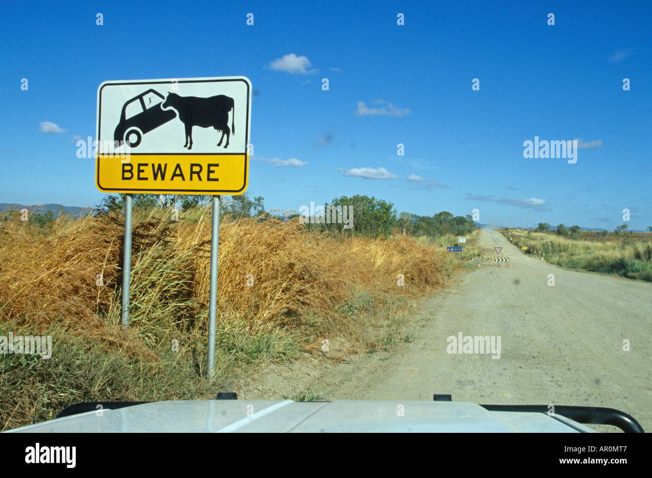 Outback sign warning cattle might be on the road, dirt road, Australia ...