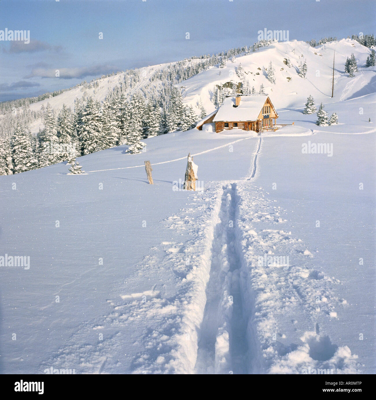 Telemark Ski Tracks in Snow 10th Mtn Hut System Colorado Winter Cabin ...