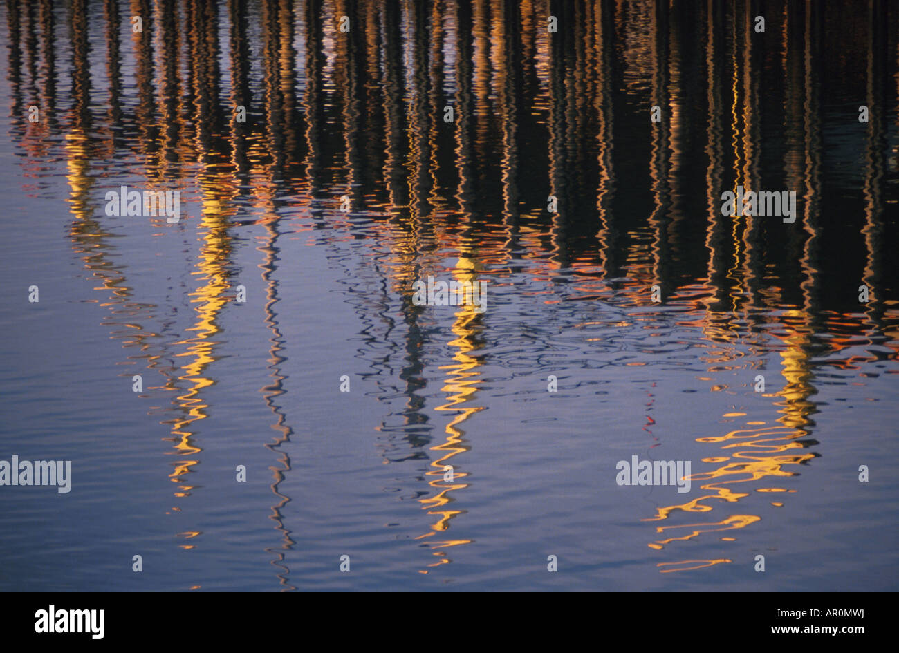 Quietly Reflective Image High Resolution Stock Photography and Images ...