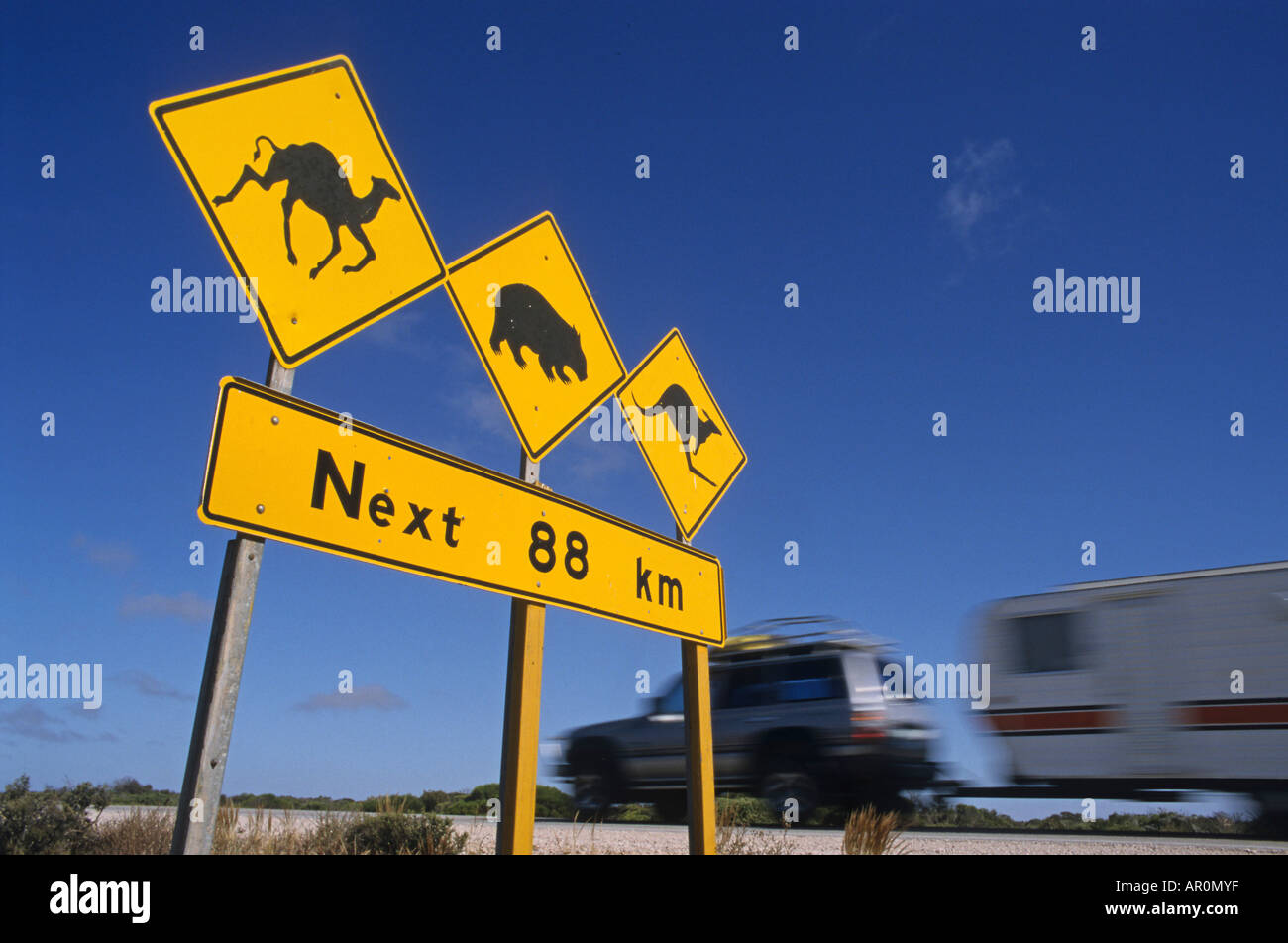 Outback highway sign warning camels, wombats and kangaroos might be on ...