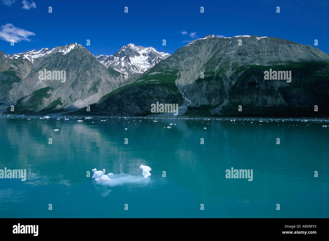 Tarr Inlet W/ Icebergs Glacier Bay NP SE AK Summer Scenic Stock Photo ...