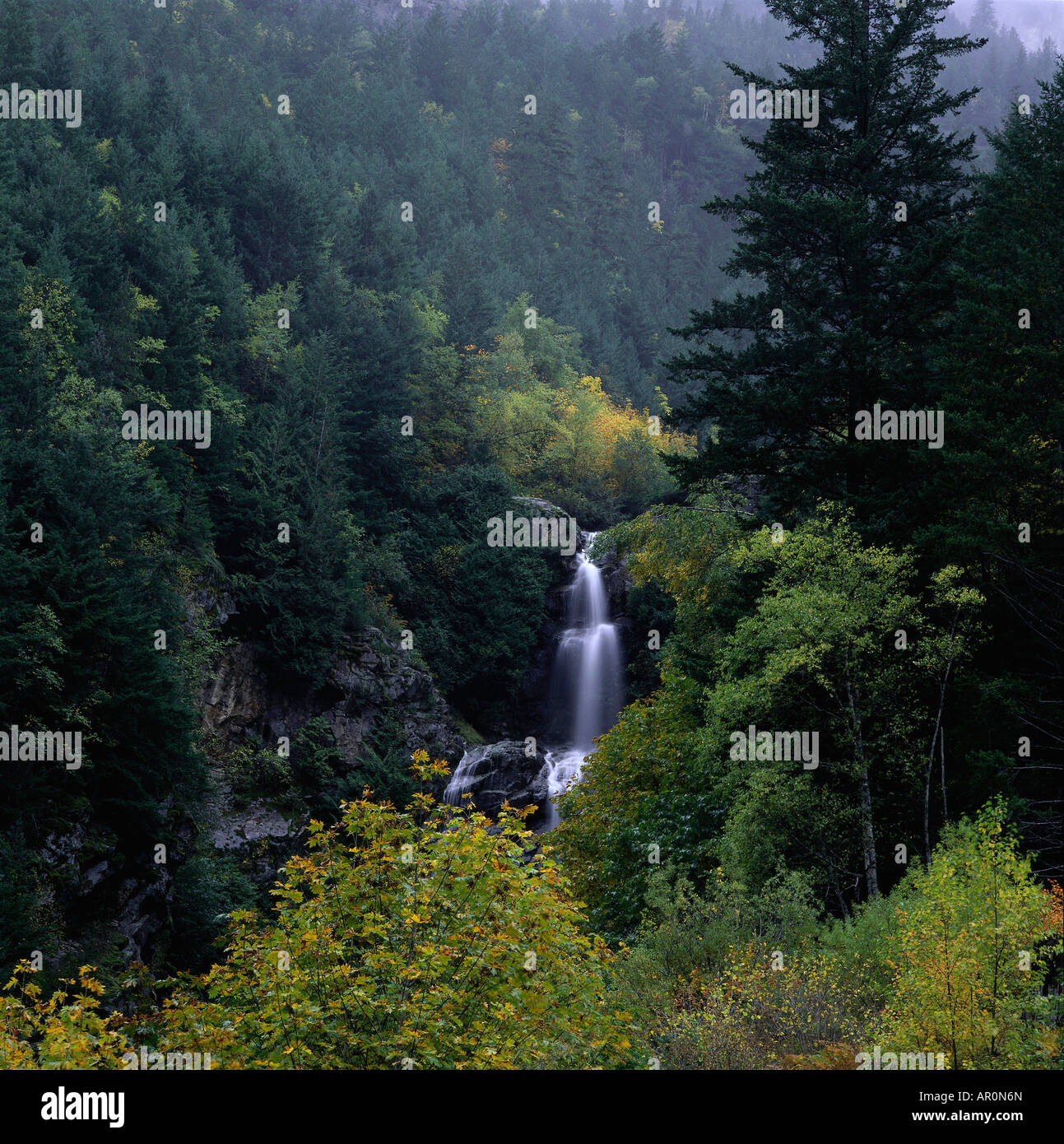 Beautiful waterfall evergreen trees hi-res stock photography and images ...