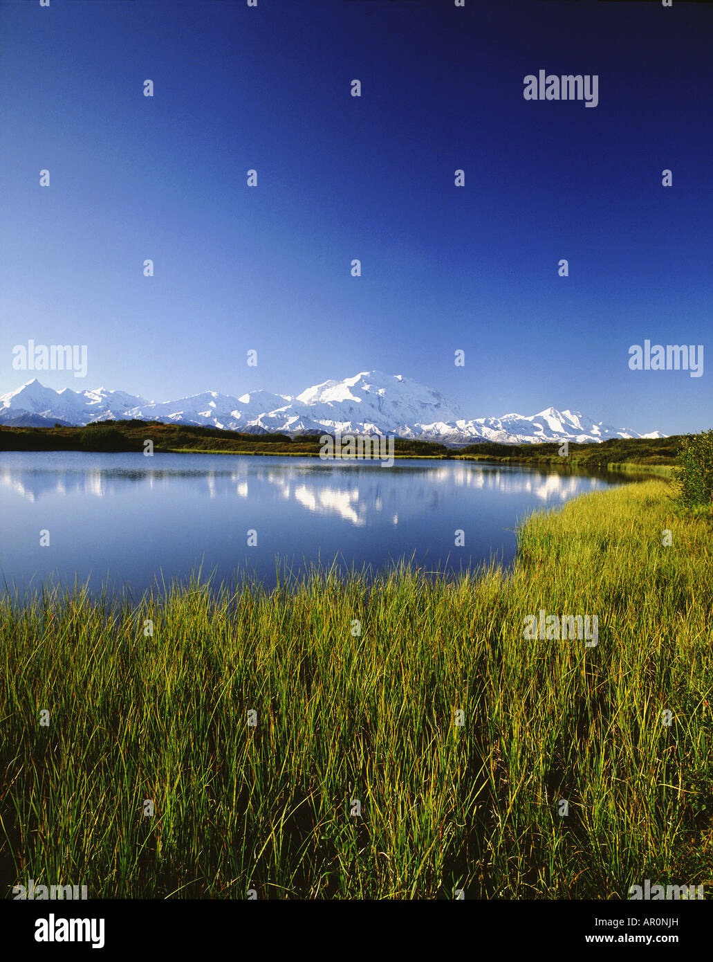 Mt McKinley Alaska Range Denali Natl Park Interior AK reflection kettle ...