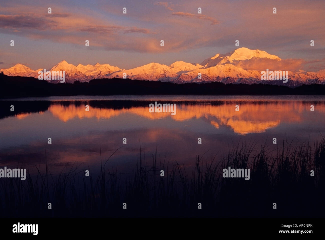 Mt Mckinley w/alpenglow during summer solstice reflecting in pond ...