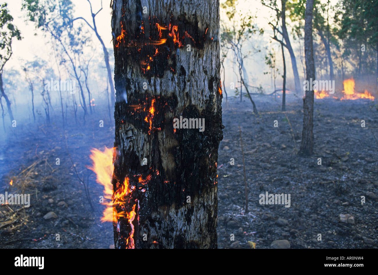 Bushfire outback australia High Resolution Stock Photography and Images ...