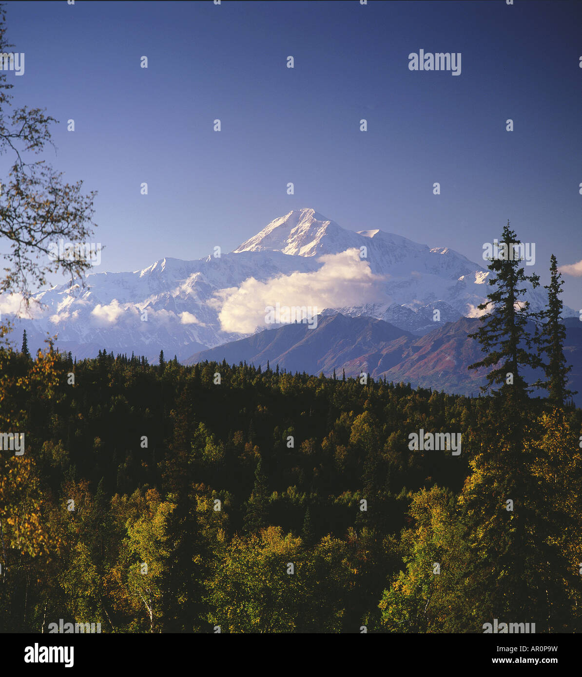 Mt McKinley Southside Scenic Fall Colors SC Alaska Stock Photo - Alamy