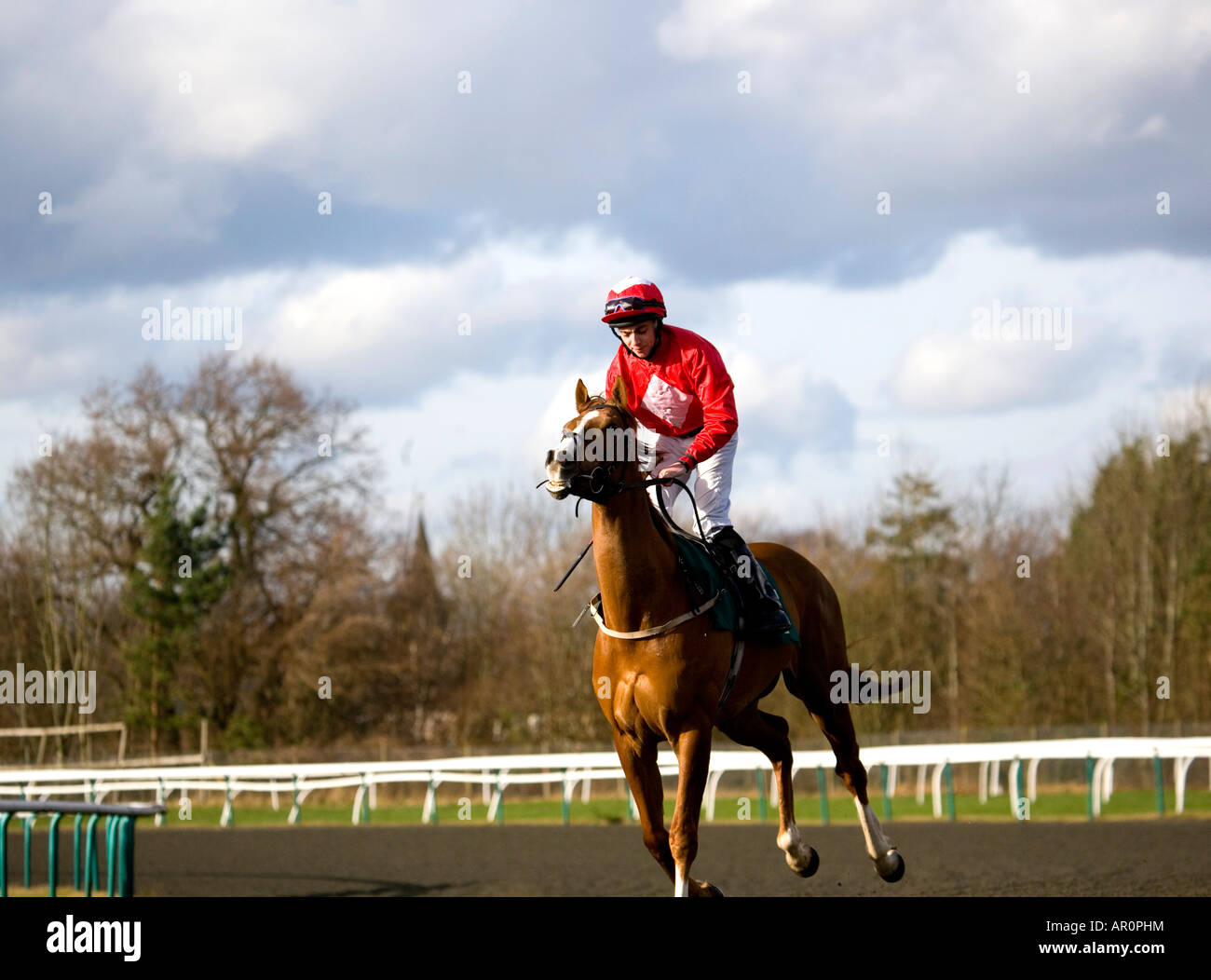 Horses race at lingfield race course hi-res stock photography and ...