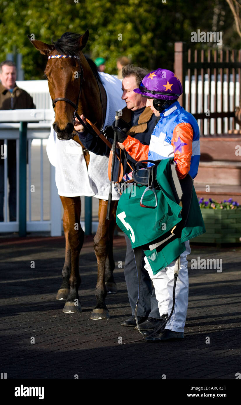 Lingfield park horse racing course 2nd february 2008 UK Stock Photo - Alamy