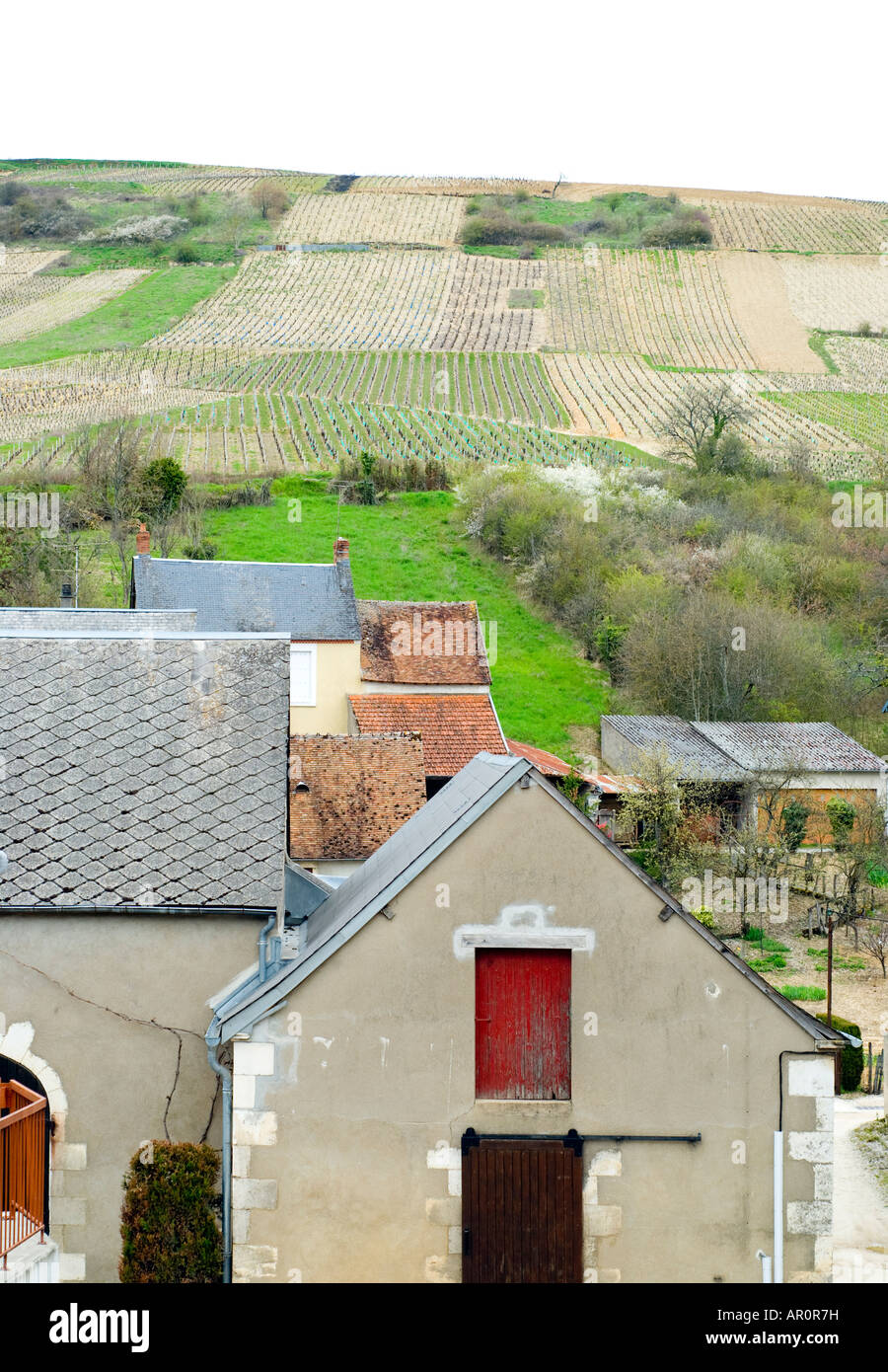Sancerre Vineyards And Town Loire Valley France // SANCERRE, France ...