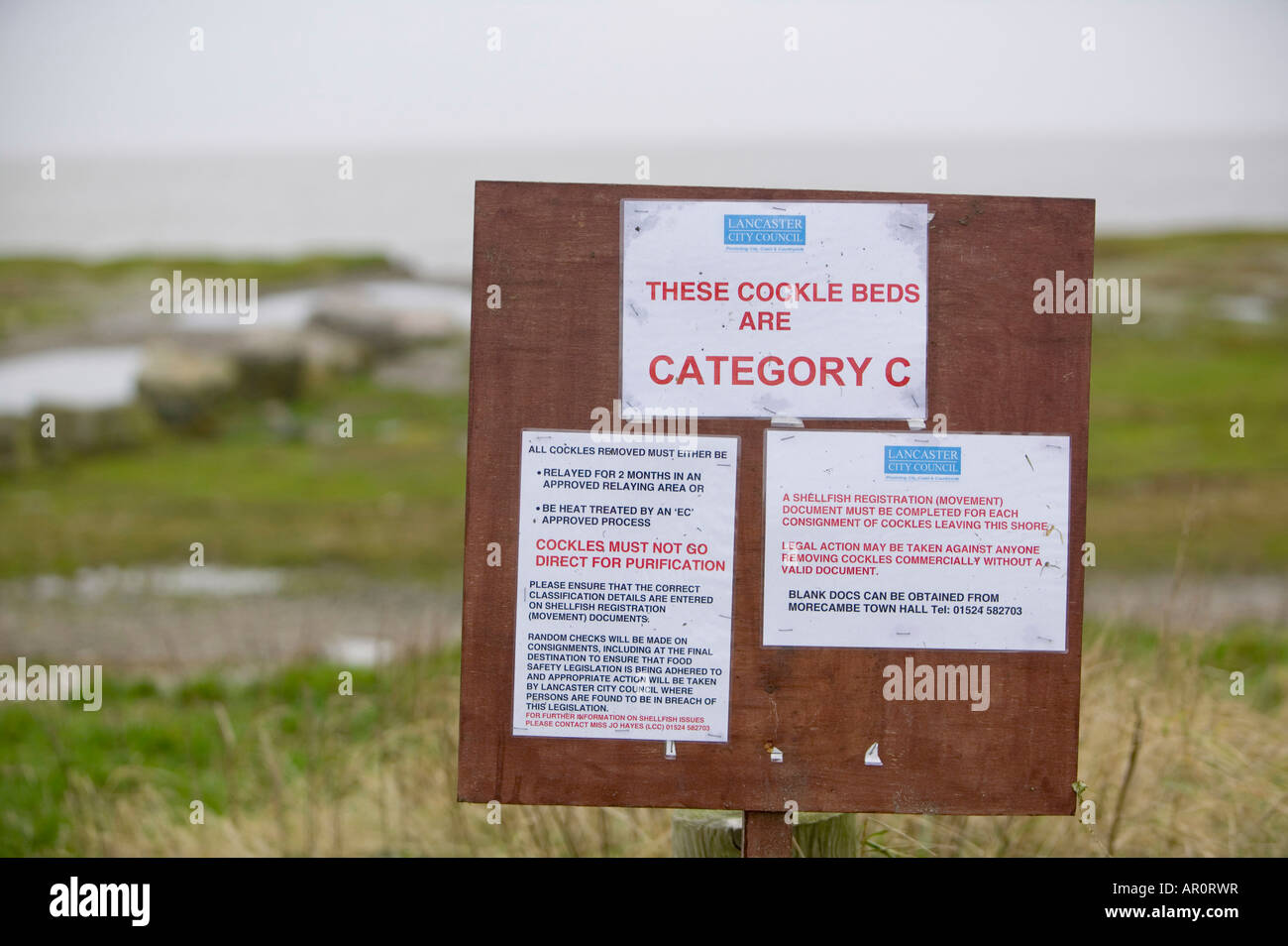 Cockling sign at Hest Bank Morecambe Bay UK Stock Photo - Alamy