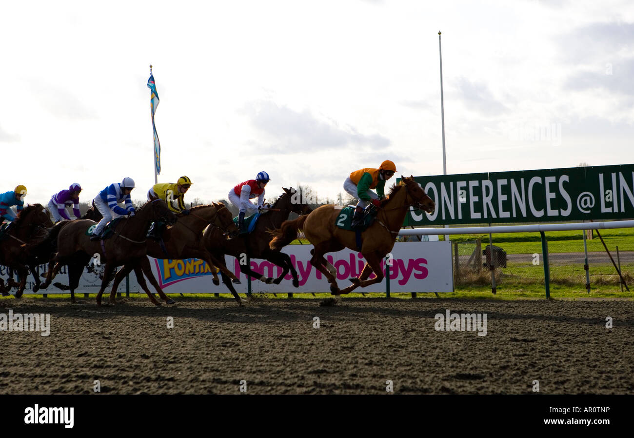 Horse racing lingfield park hi-res stock photography and images - Alamy
