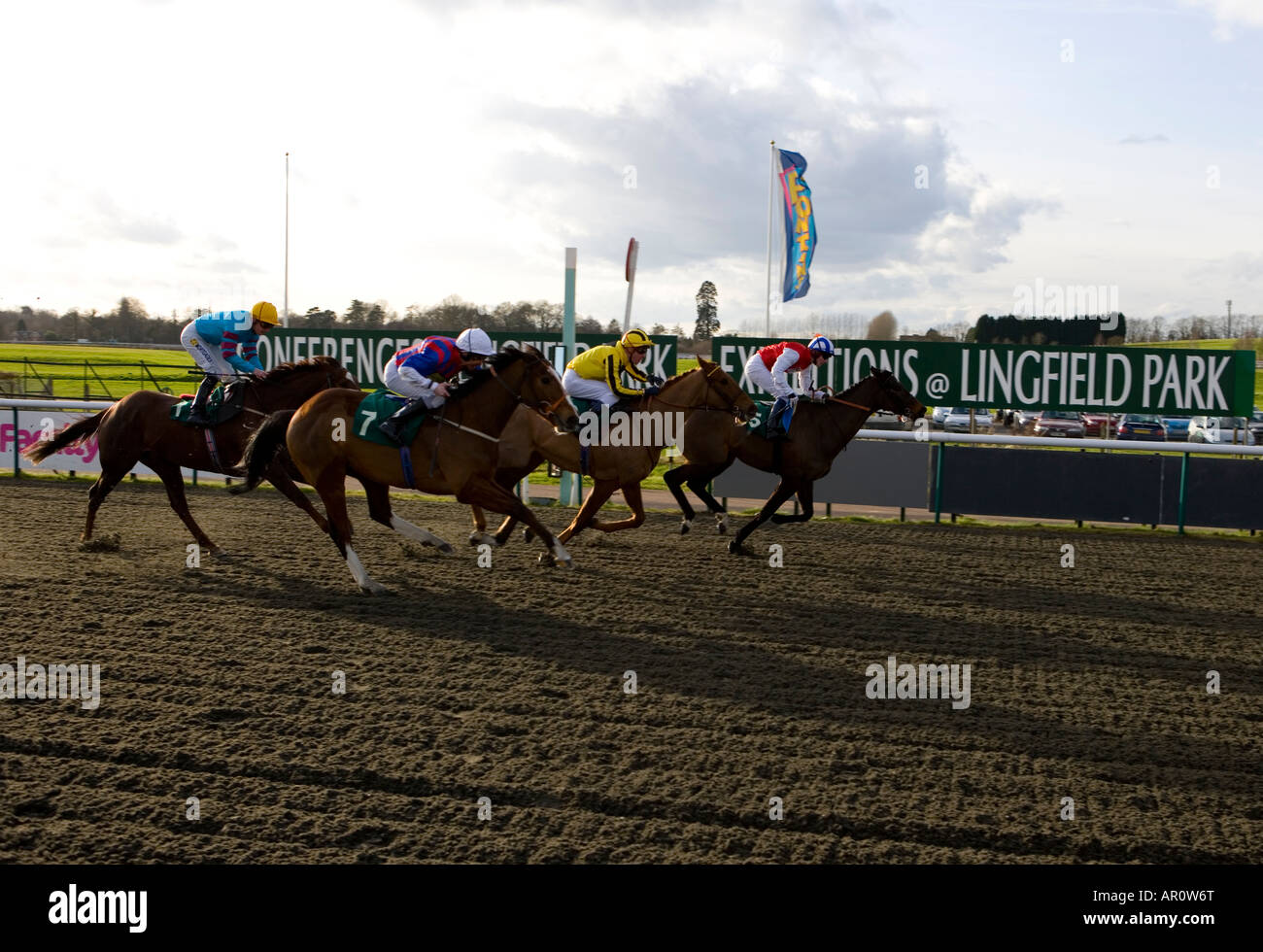Lingfield park horse racing course 2nd february 2008 UK Stock Photo - Alamy
