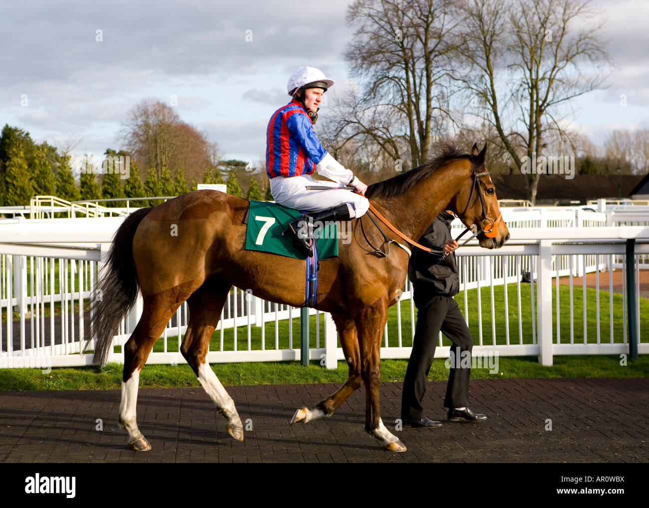 Lingfield park horse racing course 2nd february 2008 UK Stock Photo - Alamy