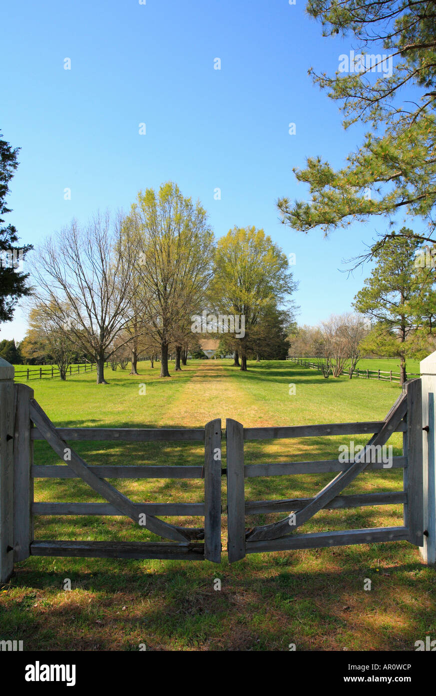 Patrick henry scotchtown hi-res stock photography and images - Alamy