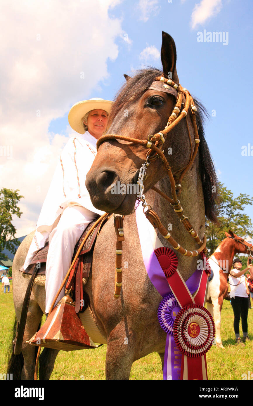 Peruvian Paso, Horse & Hound Wine Festival, Bedford, Virginia, USA ...