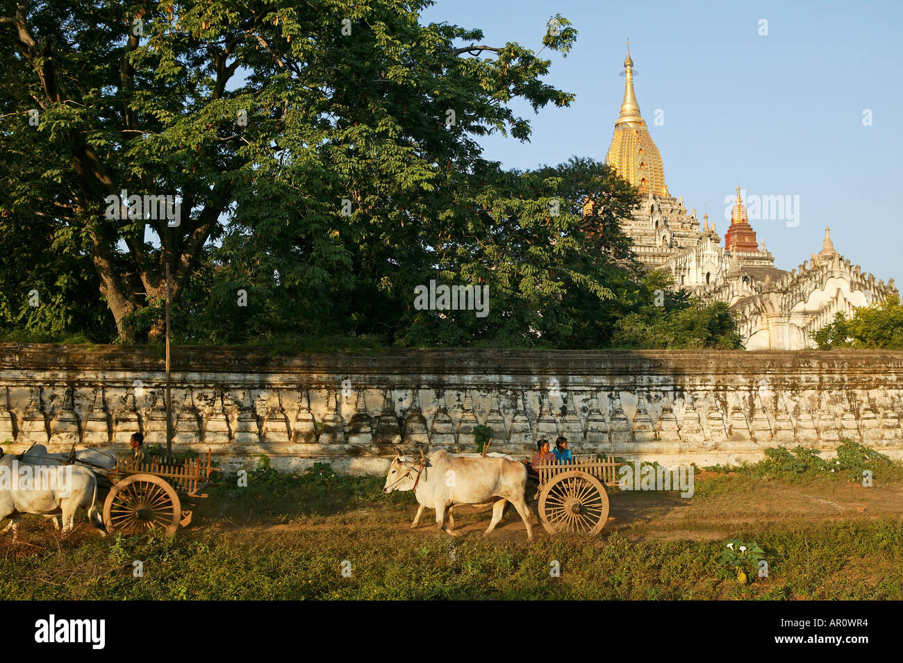 Farm cart in front of temple buildings, Bagan, Myanmar Stock Photo - Alamy