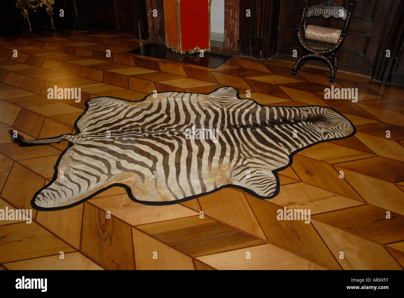 Zebra leather hi-res stock photography and images - Alamy