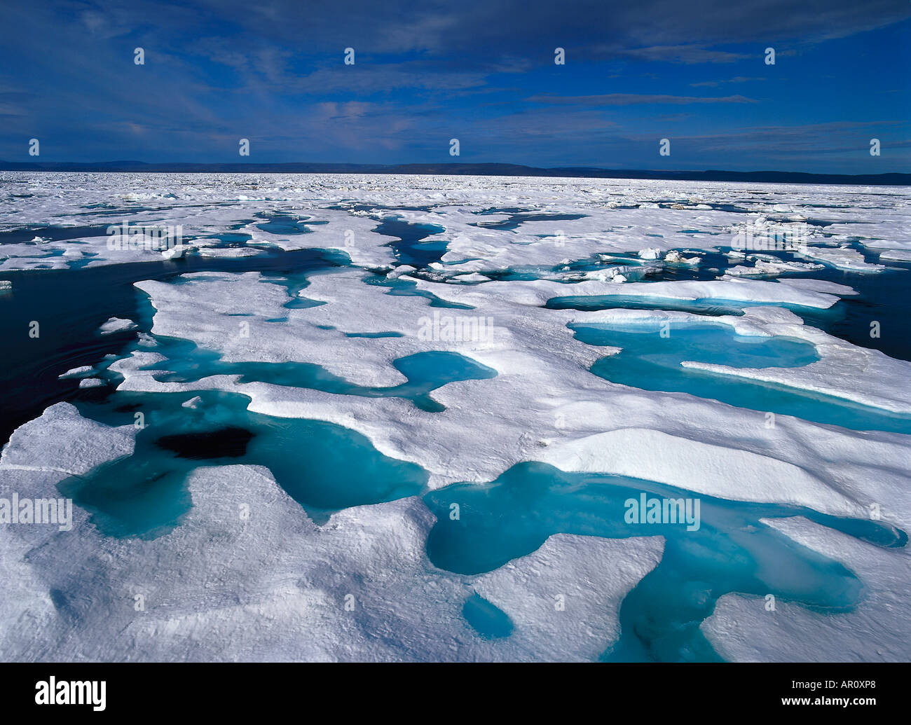 Drift ice canada hi-res stock photography and images - Alamy