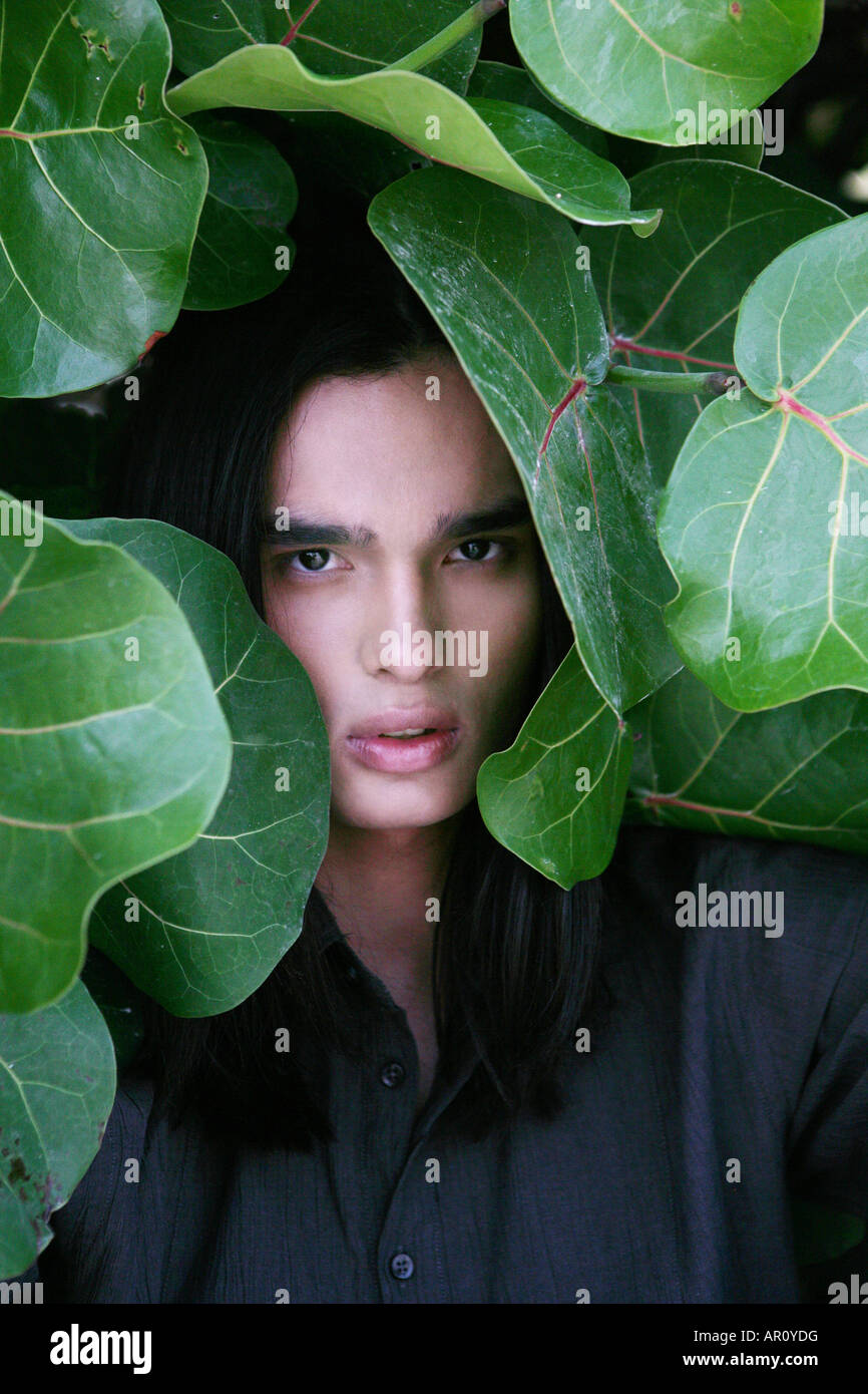 Young man in tropical leaves Stock Photo - Alamy