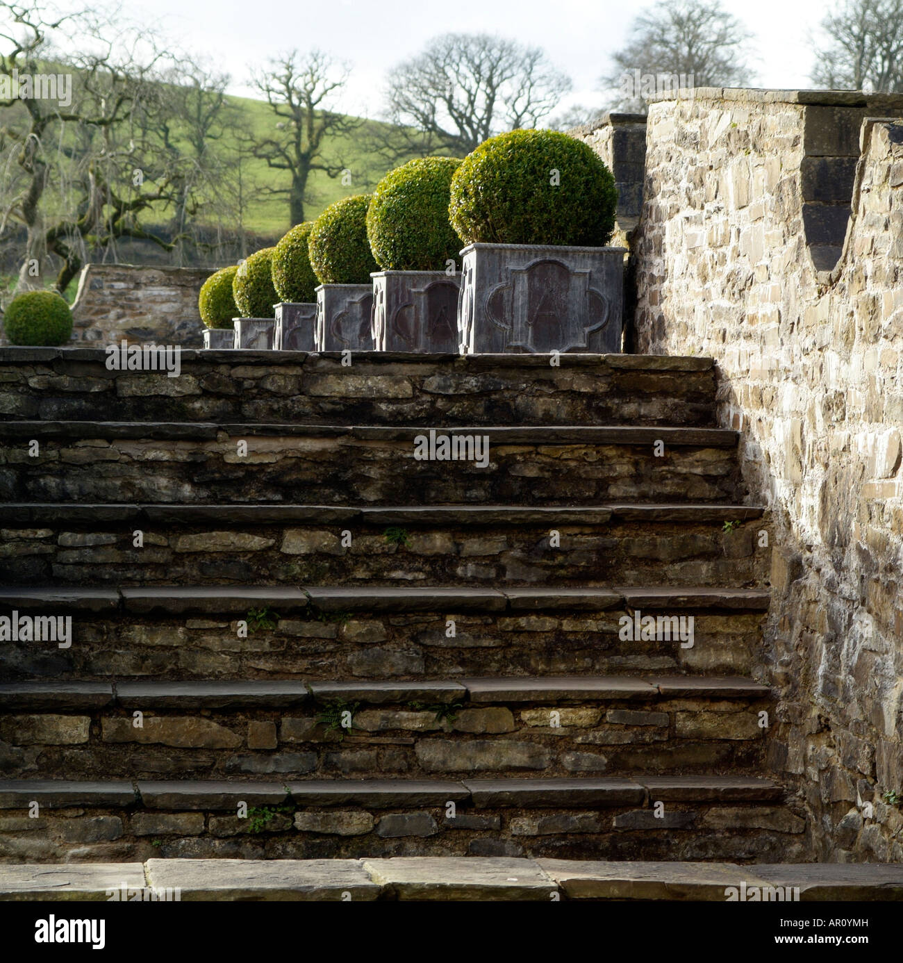 Formal Garden Evergreen Shrubs Boxes Stone Steps Stock Photo - Alamy