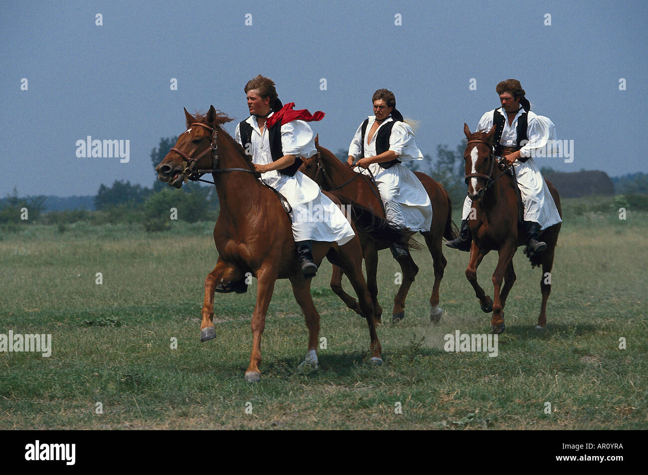 Three people riding horses in traditional clothes, Tradition, Puszta ...