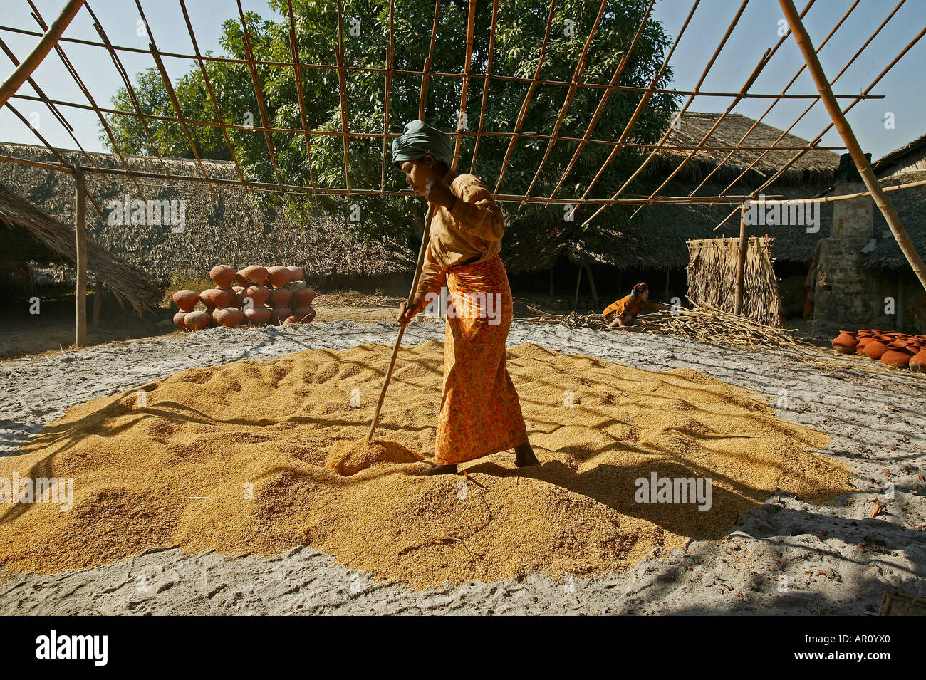 Chaff hi-res stock photography and images - Alamy
