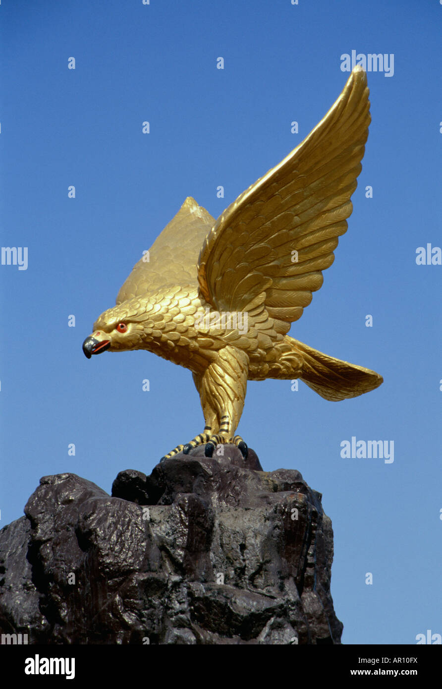 Oman - falcon Stock Photo - Alamy