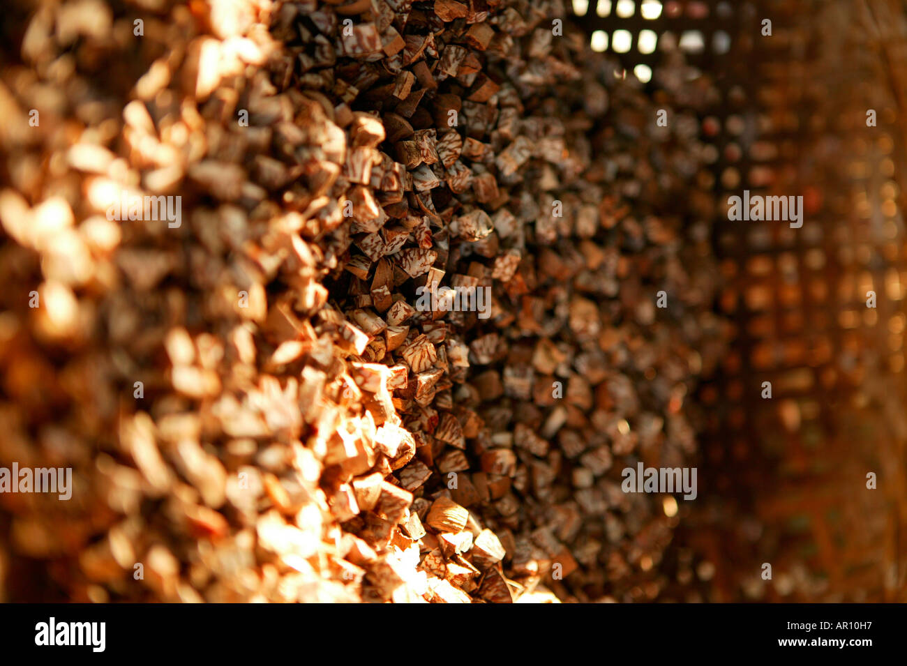 Areca nut and betel leaf hi-res stock photography and images - Alamy