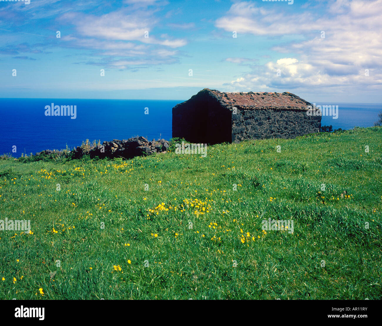landscape with single traditional house at the island of Faial, Azores ...