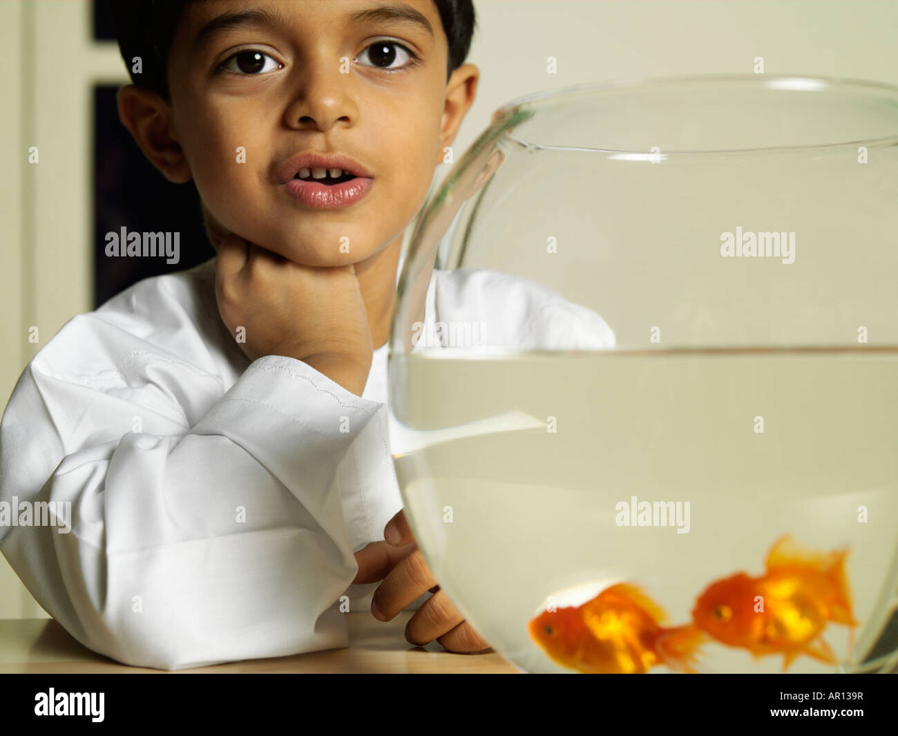 Boy looking at goldfish hi-res stock photography and images - Alamy