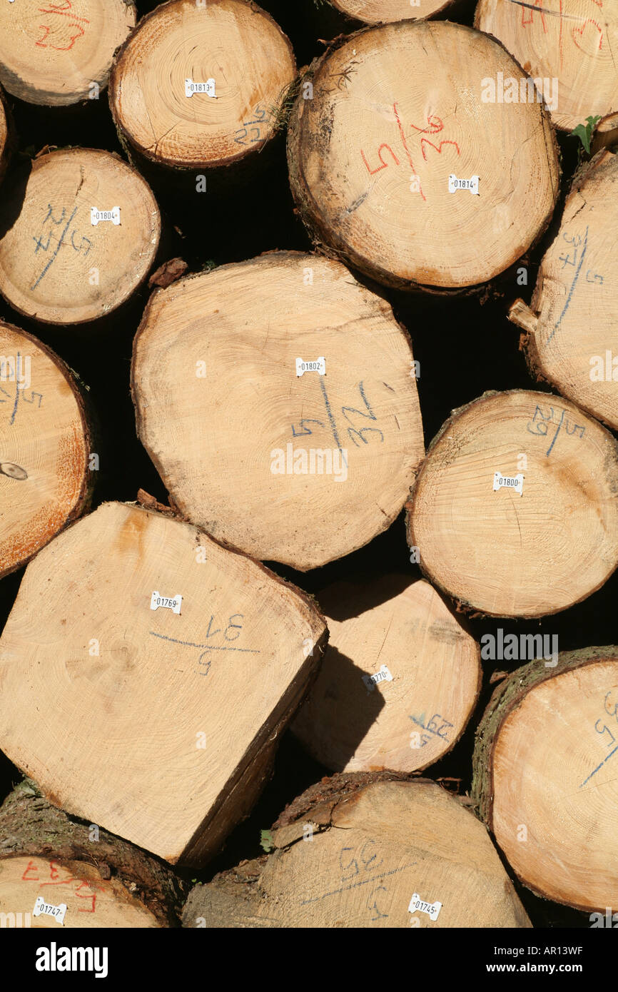Tree logs are piled up, numbered, labeled and ready for transport Stock ...