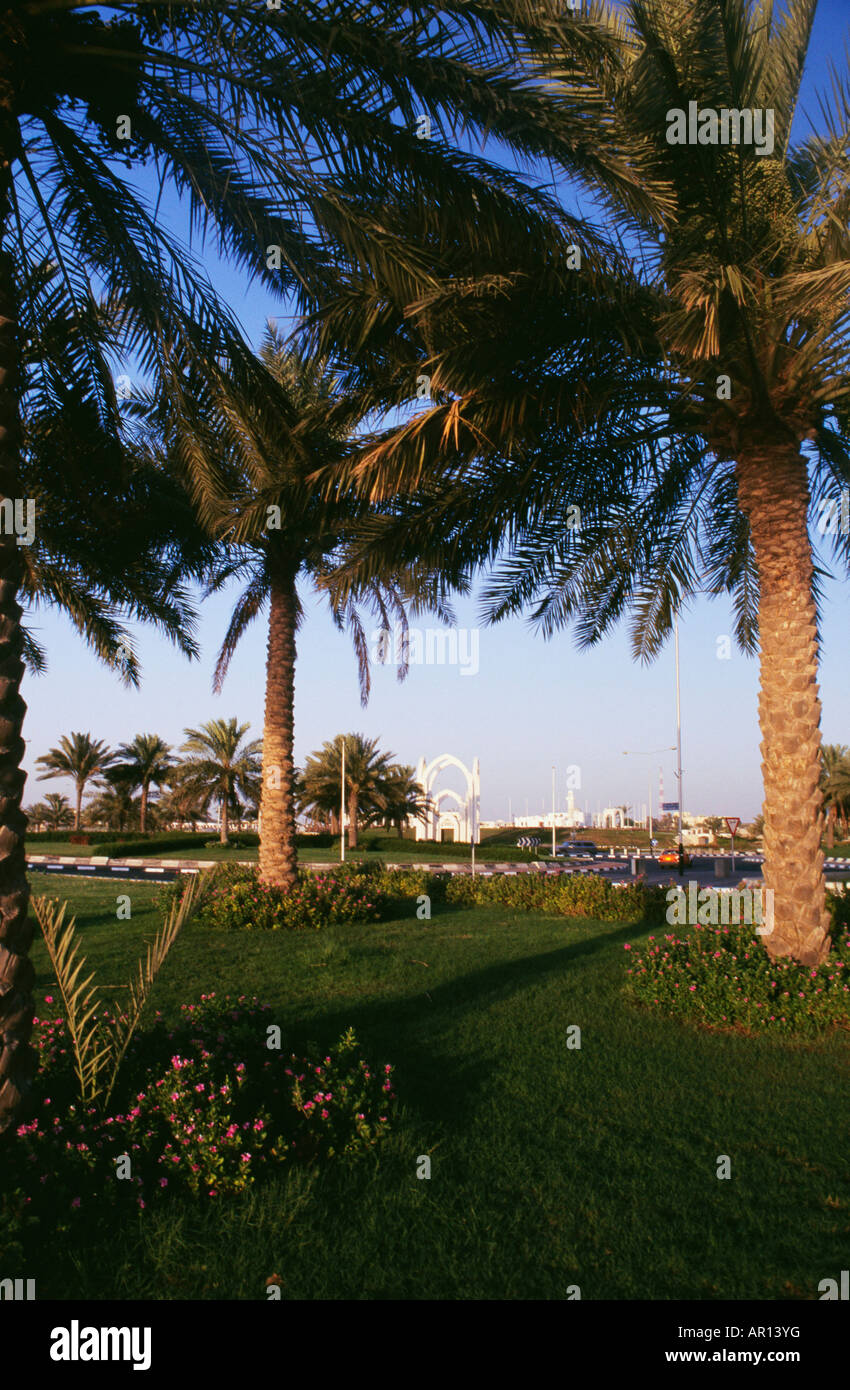 Country road with palm trees hi-res stock photography and images - Alamy