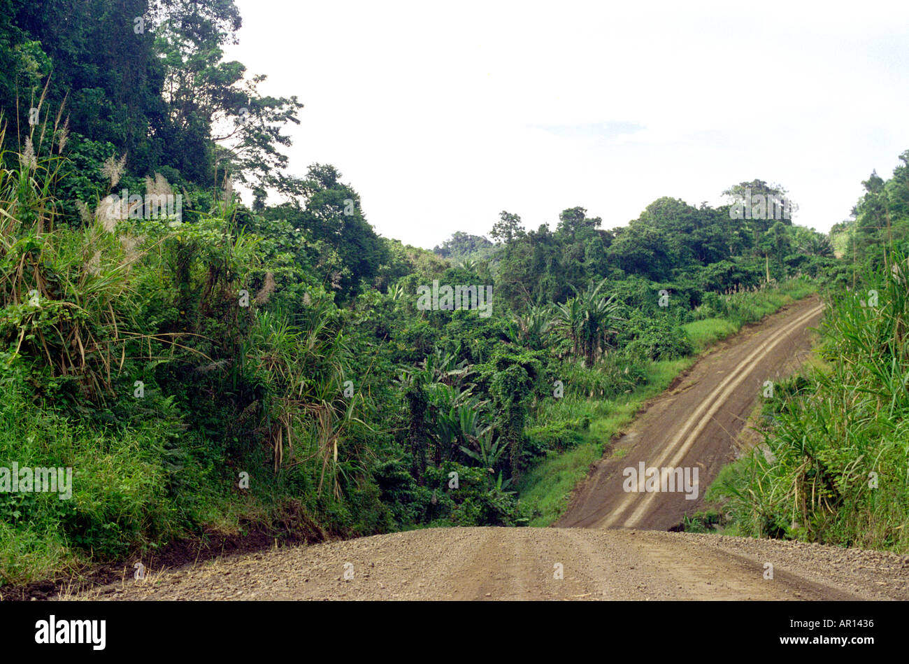 Unsurfaced jungle road Papua New Guinea Stock Photo - Alamy