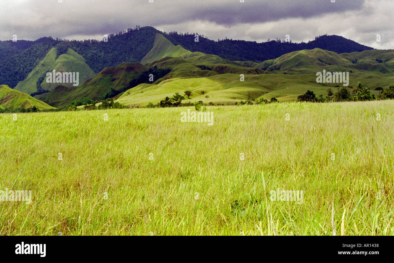 Field and hills Ramu valley Papua New Guinea Stock Photo - Alamy
