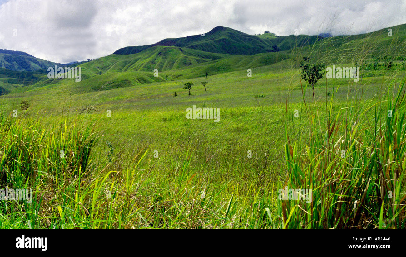 Grassy hills Highlands of Papua New Guinea Stock Photo - Alamy