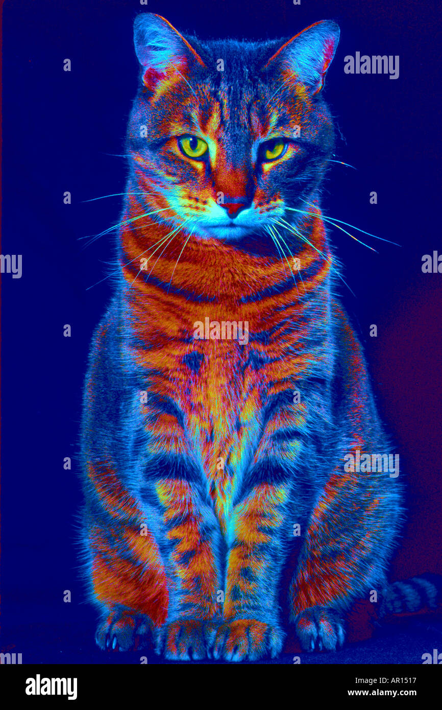 Posterized hi-res stock photography and images - Alamy