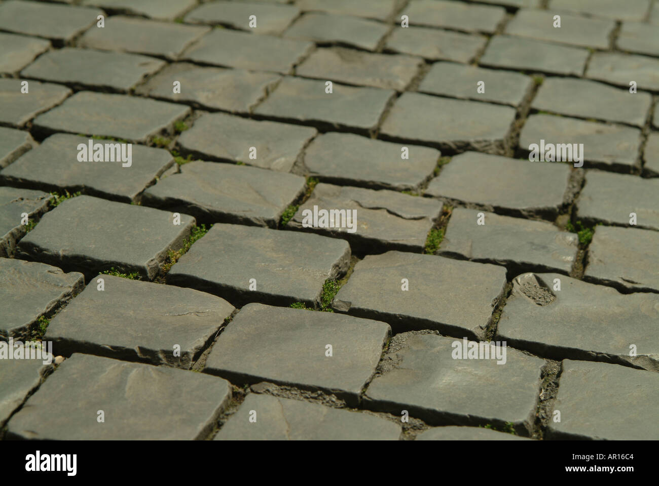 Sampietrini texture hi-res stock photography and images - Alamy