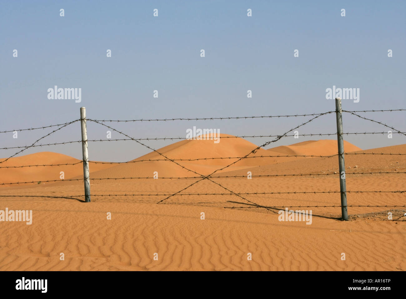Arabian barb hi-res stock photography and images - Alamy
