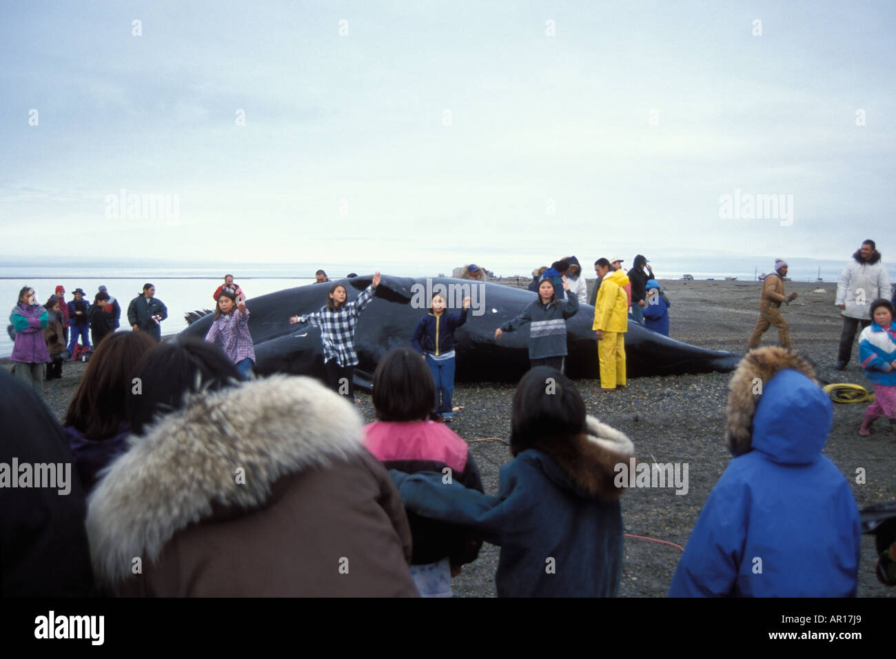 bowhead whale caught Eskimo children performing a traditional dance ...