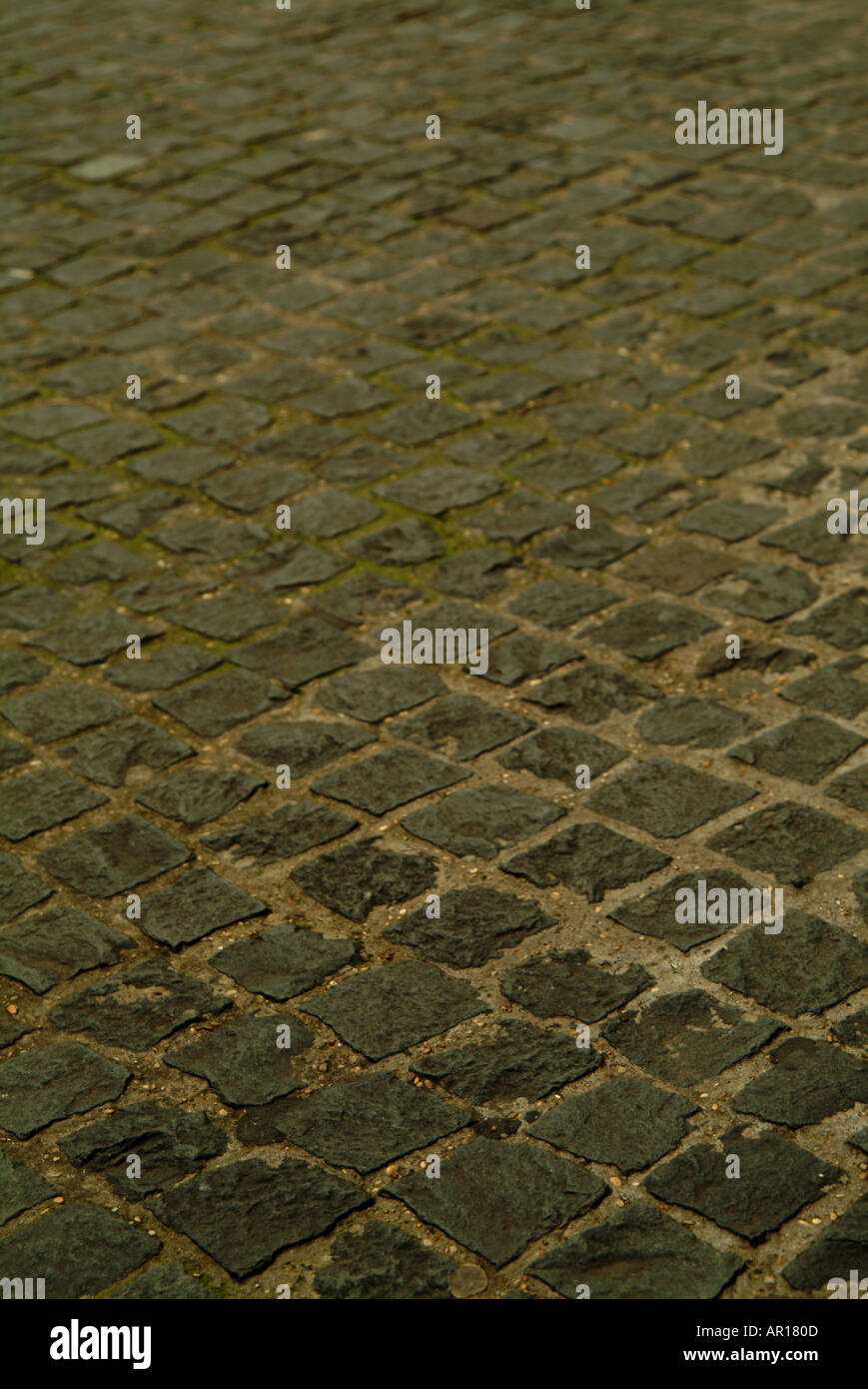 Cobblestones Rome Italy Europe Stock Photo - Alamy