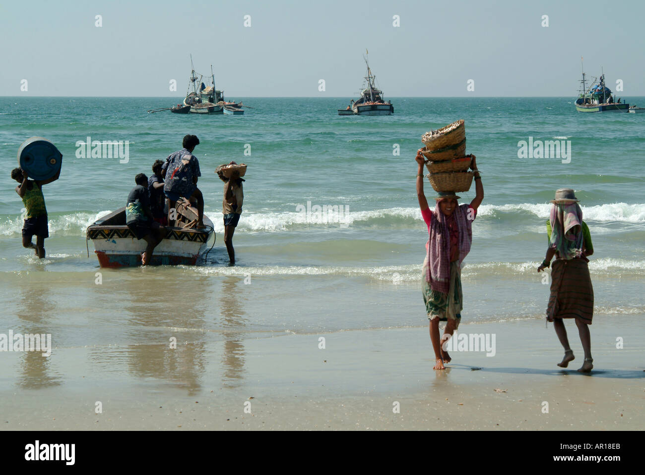 Bringing in the fishes Colva South Goa India Stock Photo - Alamy