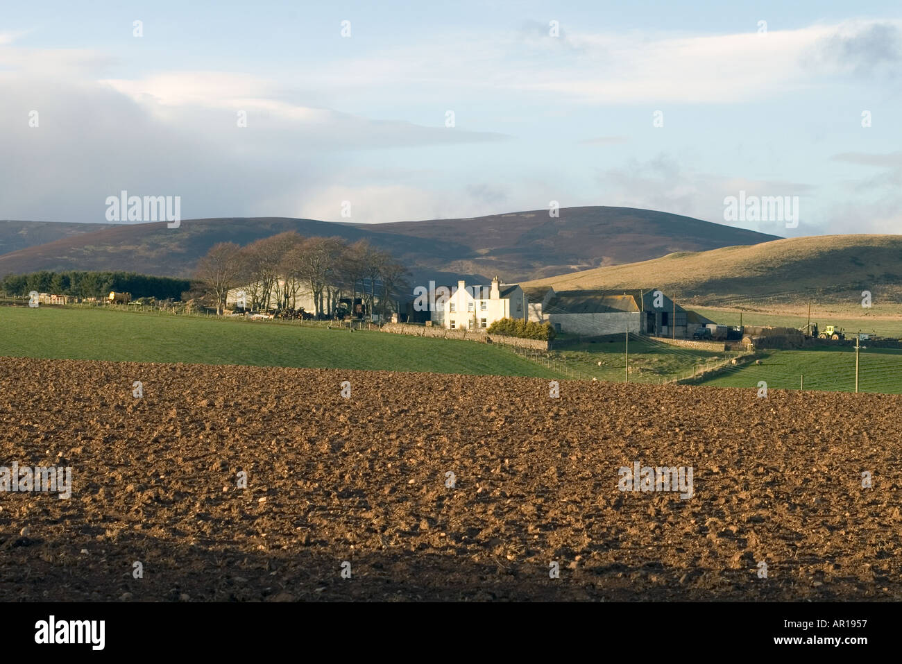 Strathmore valley hi-res stock photography and images - Alamy