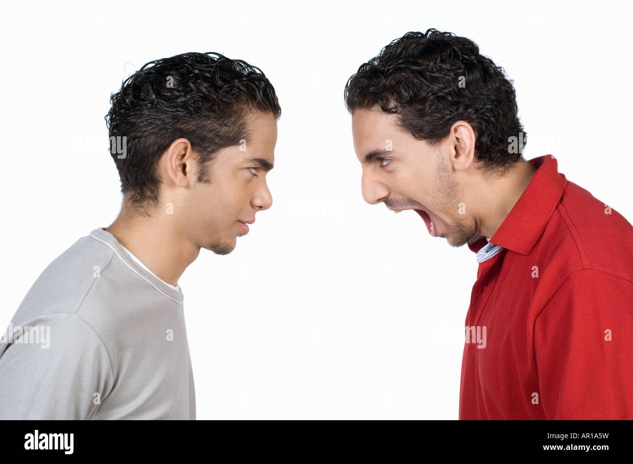 Brothers angry with each other Stock Photo - Alamy