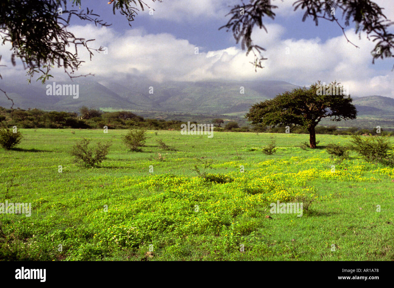 Countryside mexico hi-res stock photography and images - Alamy