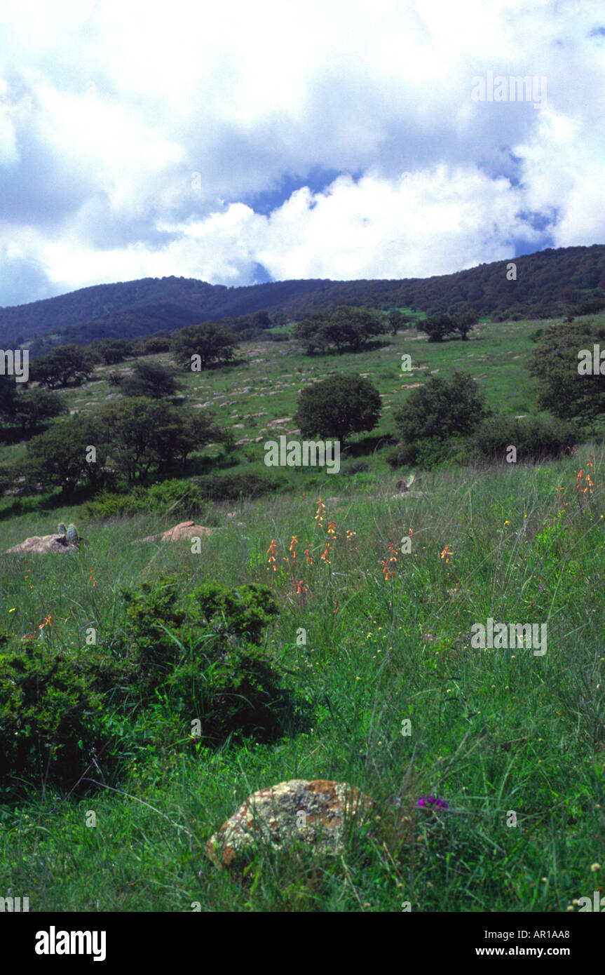 Countryside mexico hi-res stock photography and images - Alamy