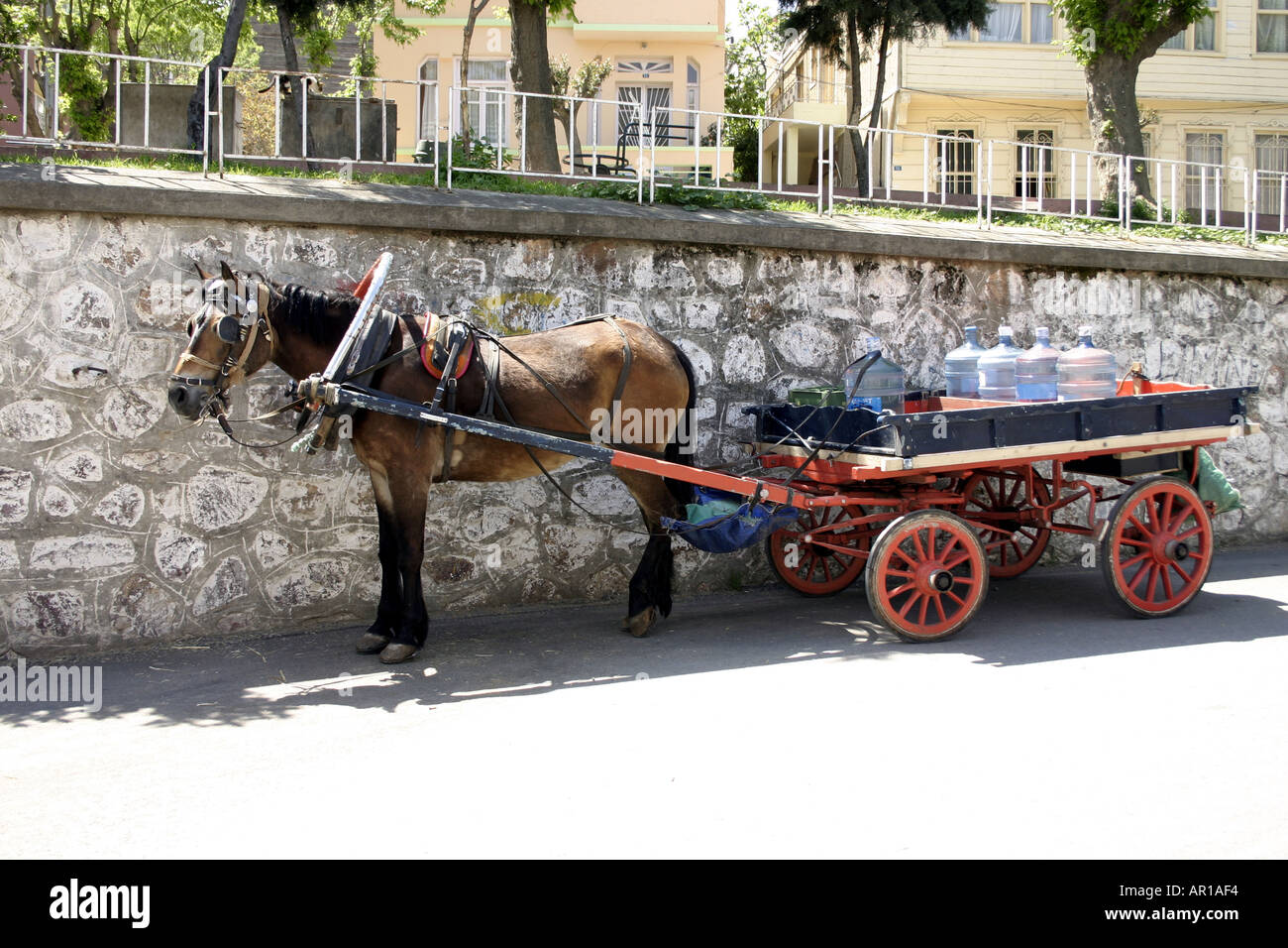 Water horse and cart hi-res stock photography and images - Alamy
