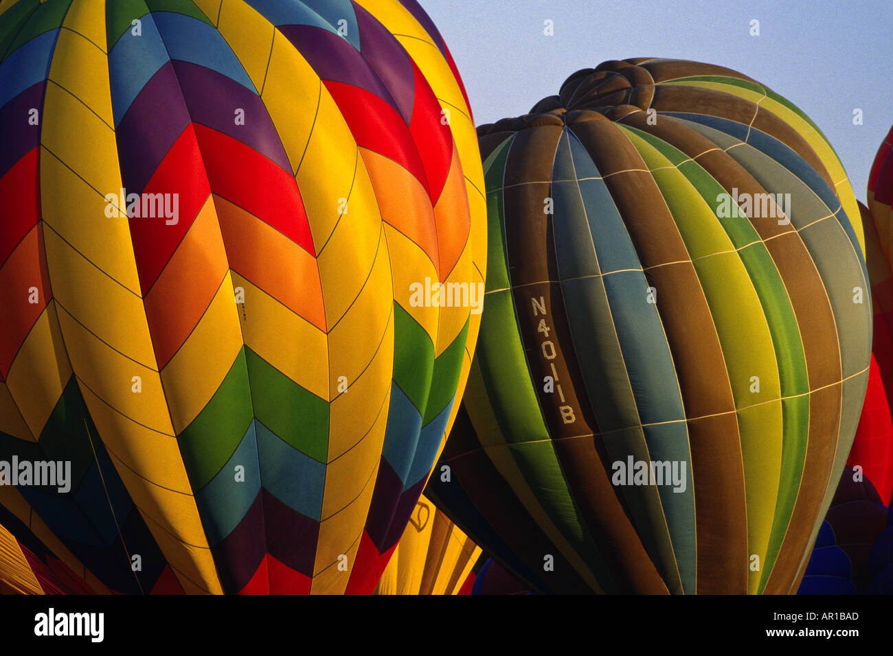 Colorful balloons poised for mass ascension at Hot Air Balloon festival ...