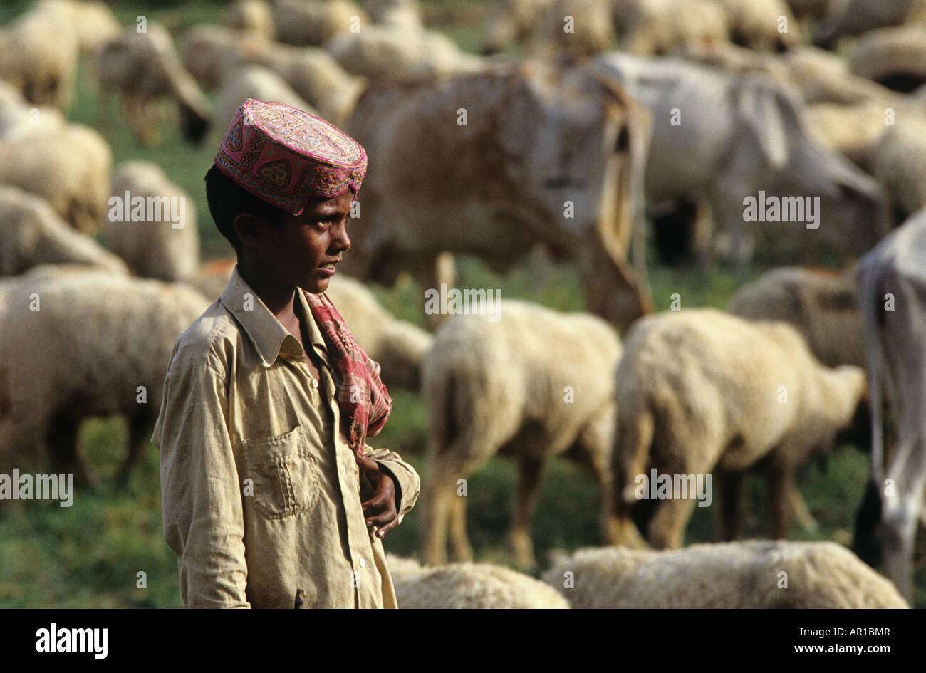 Young Shepherd Boy